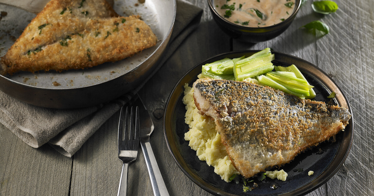 Recepten met Dorade – Kwaliteitsvishandel Schot